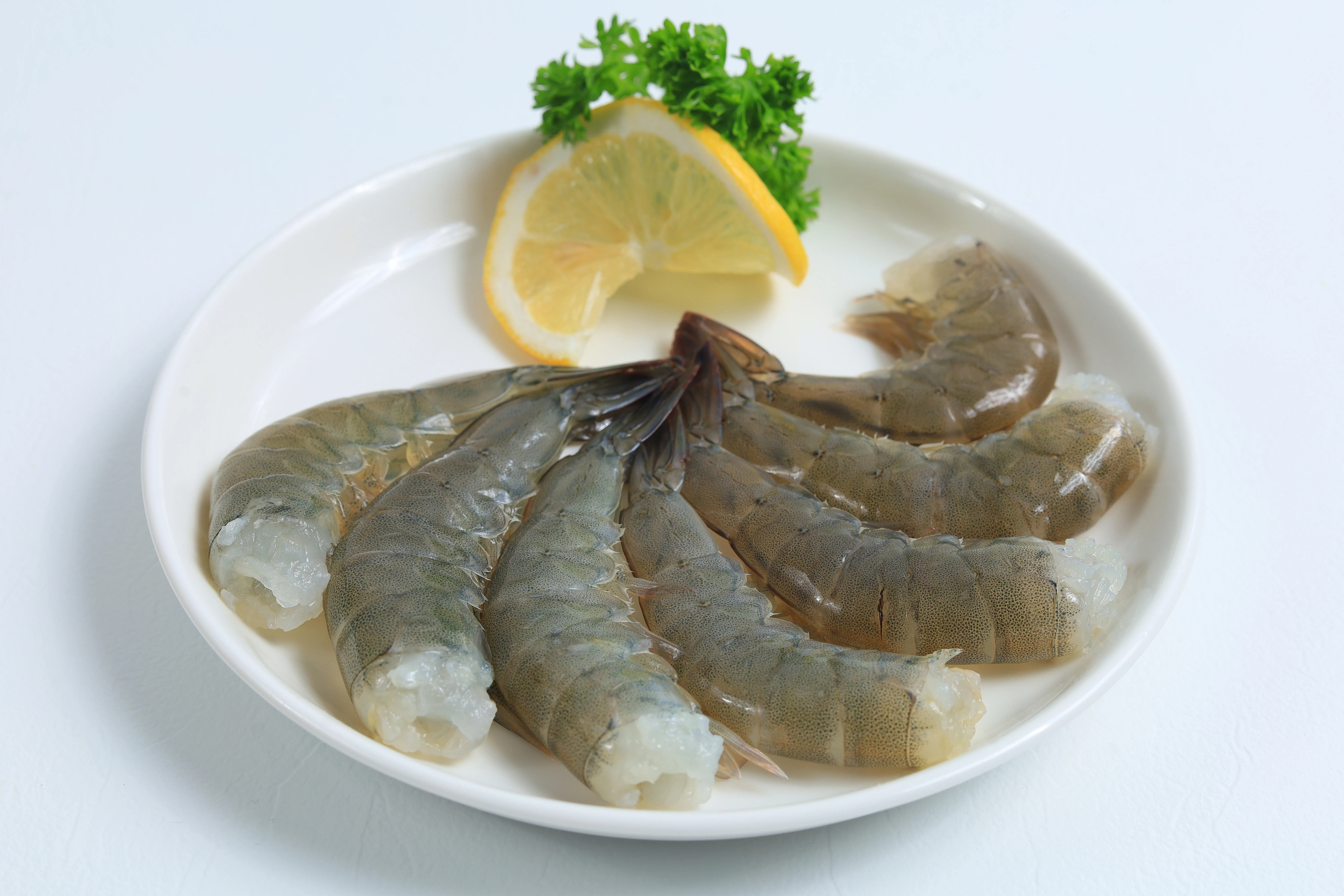 Vietnam Expo | HLSO Shrimp